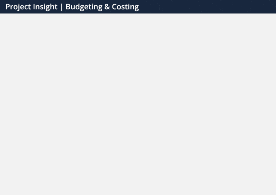 Budgeting & Costing | Project Insight - Project Management Software ...